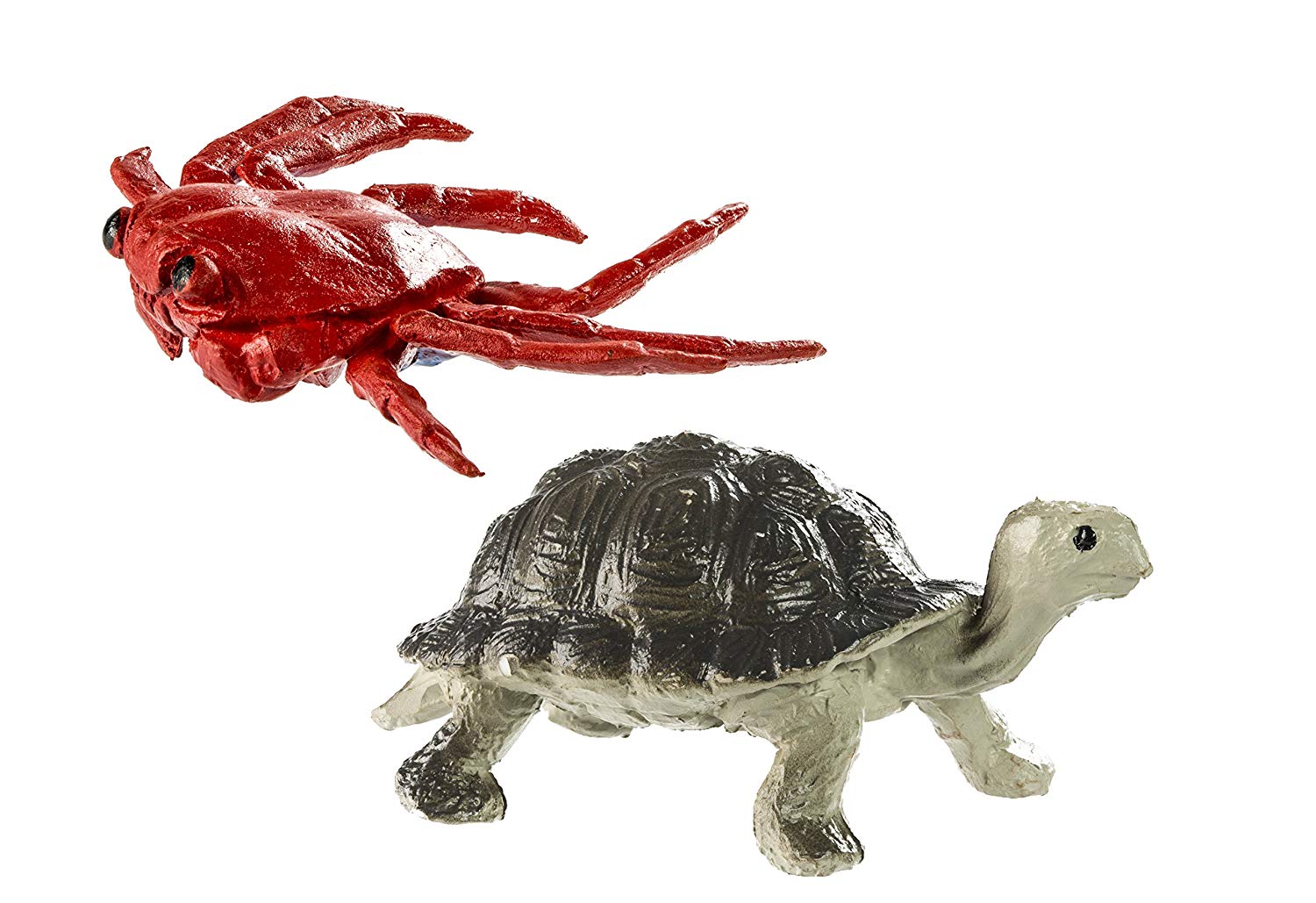 Toob Galapagos – TopToy