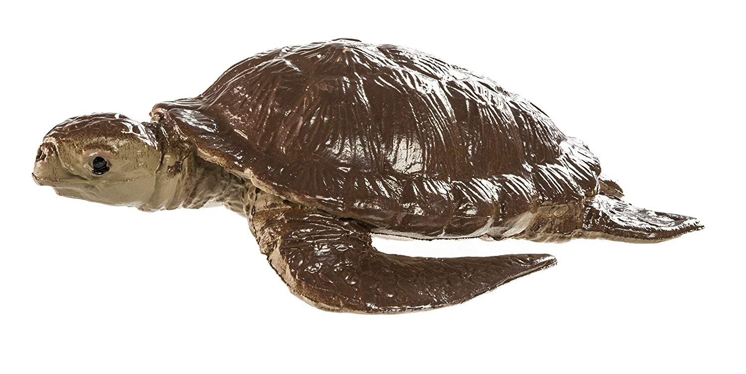 Toob Galapagos – TopToy